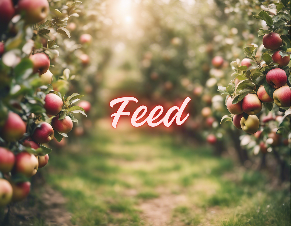 Feed – Good Apple Equine