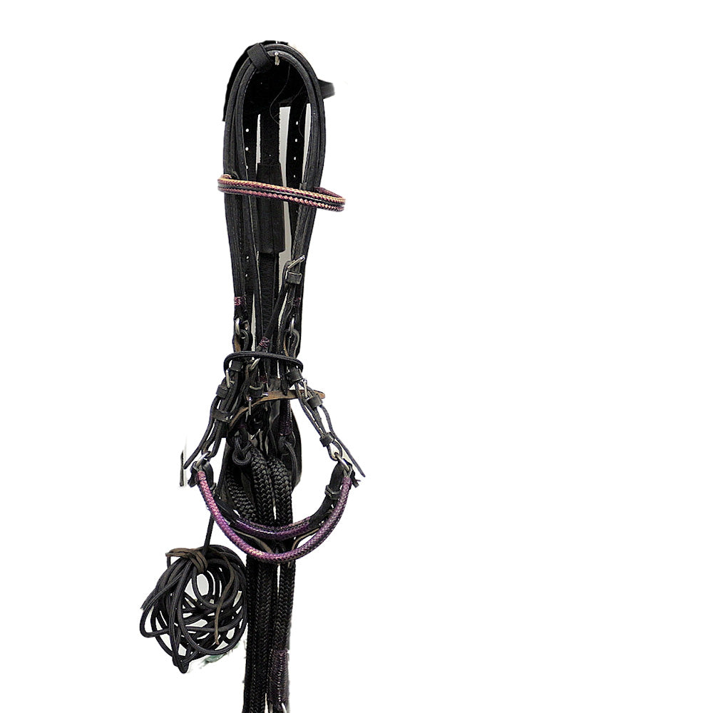 Kuda Black Cob Jaquima Paso Fino Show Bridle – Good Apple Equine