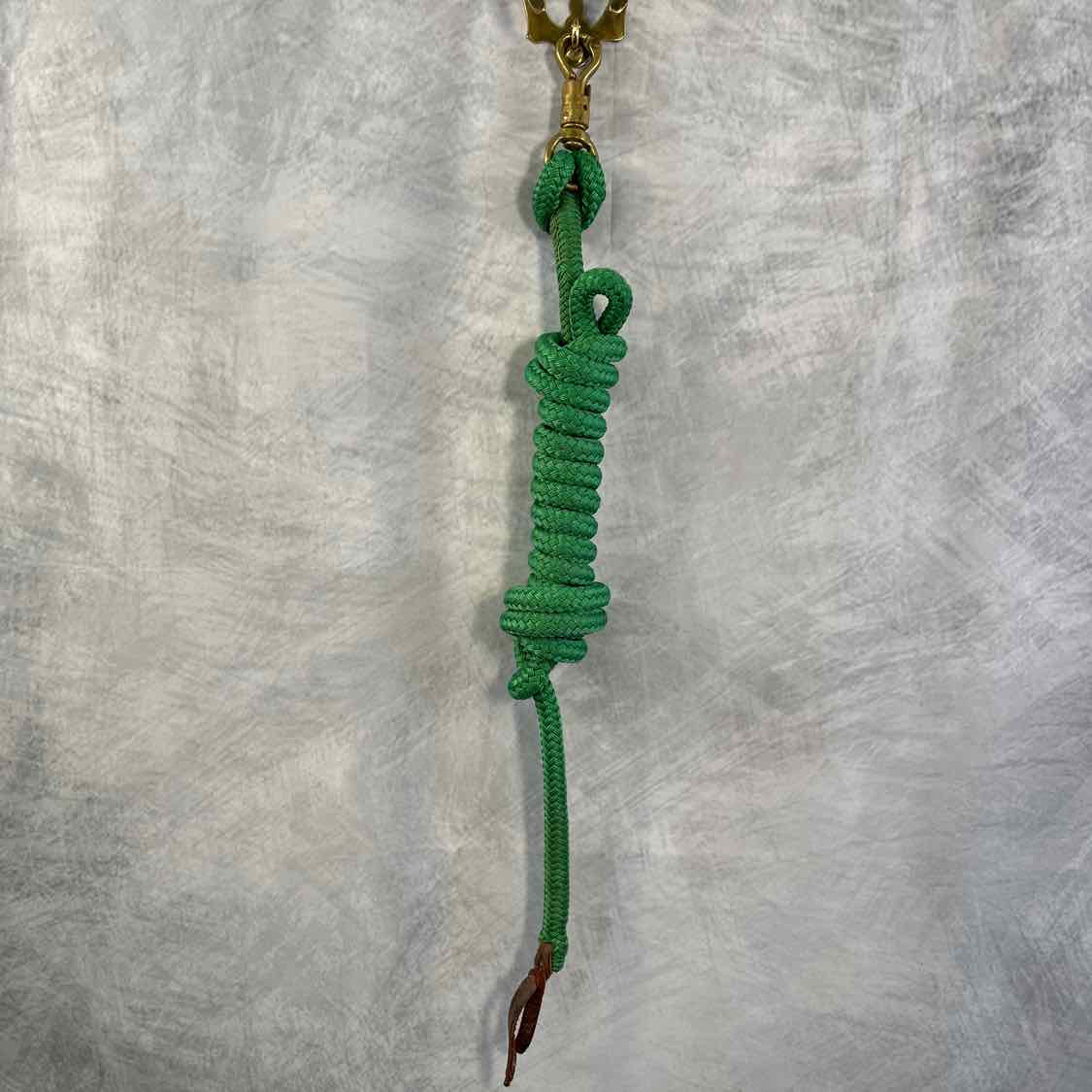 Mint Green 8' Lead Rope – Good Apple Equine