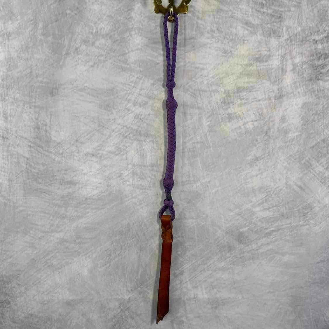 Purple Barrel Racer Whip – Good Apple Equine